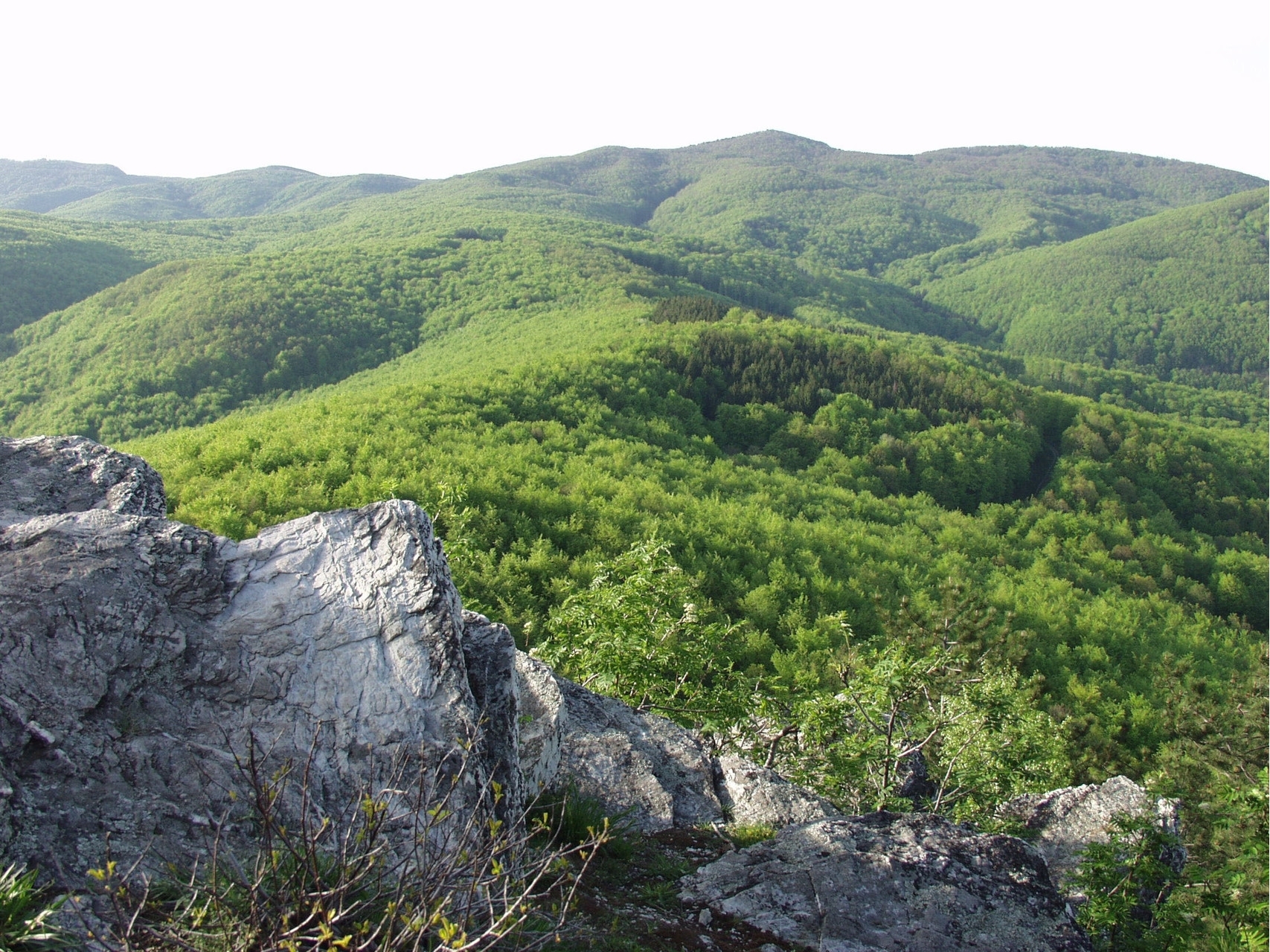 Papuk (National Park / Nature Park) - Slavonia